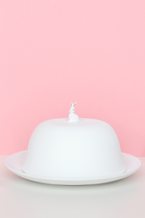 How To Make A DIY Figurine Cake Dome