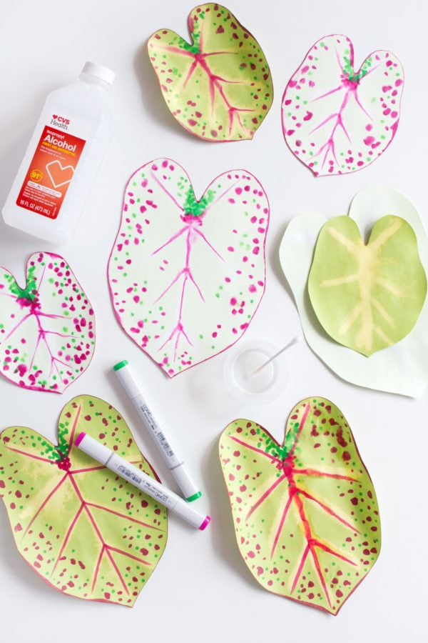 How To Make Paper Plants A DIY Paper Caladium Sugar Cloth how-to-make-paper-plants-a-diy-paper-caladium-sugar-cloth