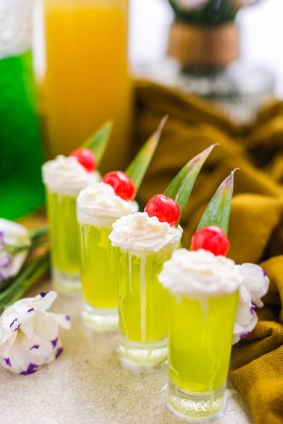 26 Best Shot Recipes for a Guaranteed Fun Party — Sugar & Cloth